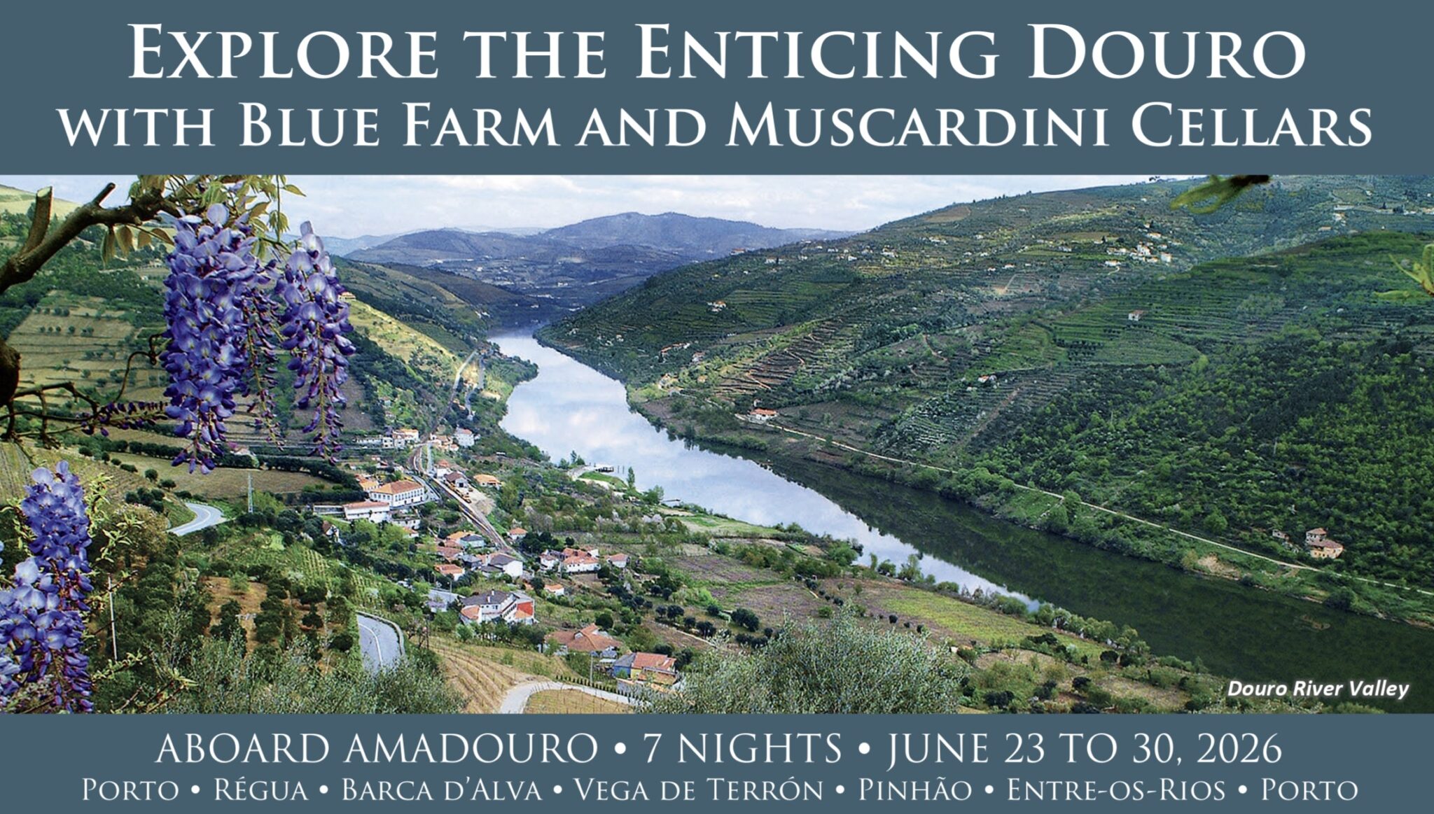 Explore the Douro Region with Muscardini Cellars - Muscardini Cellars